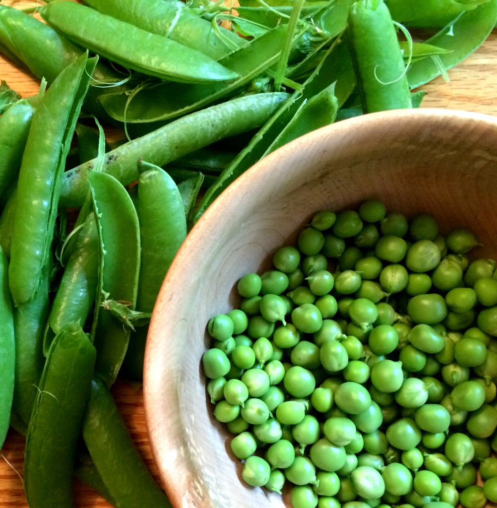 Oops! We Just Pea'd! - Ravenview